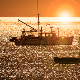 Everything You Need to Know About Hydraulic Winches | Bloom Manufacturing